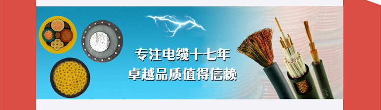 ZN-KVV控制电缆-买卖宝