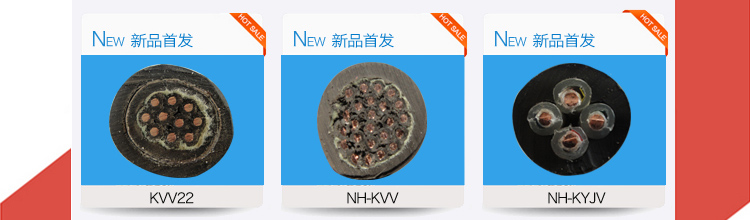 ZN-KVV控制电缆-买卖宝